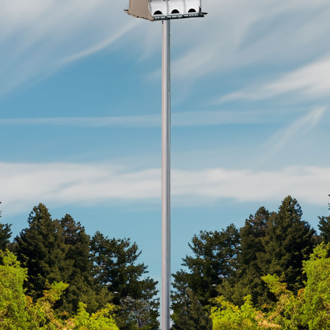 Birds Choice Heavy Duty Telescoping Martin House Pole, 12' – Best ...