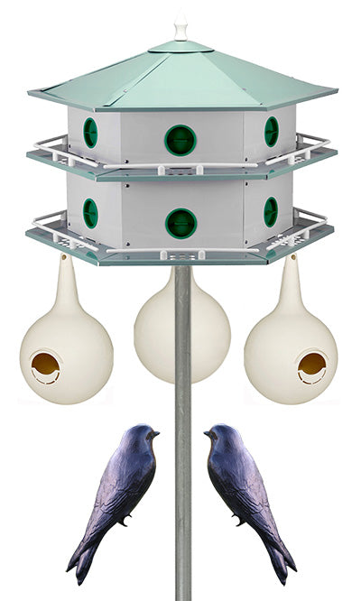 Heath 12-Room Deluxe Purple Martin House & Gourds Kit – Best Purple ...
