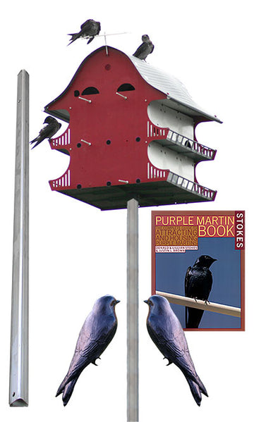 Best Purple Martin Products