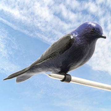 Accessories – Best Purple Martin Products